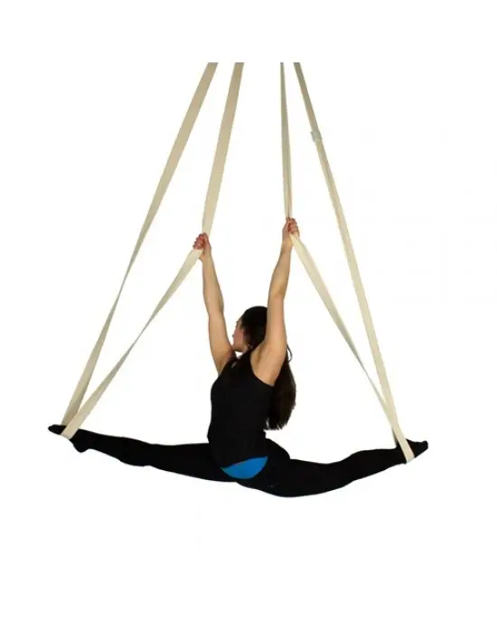 Take Your Training to New Heights: A Guide to Selecting and Using ...